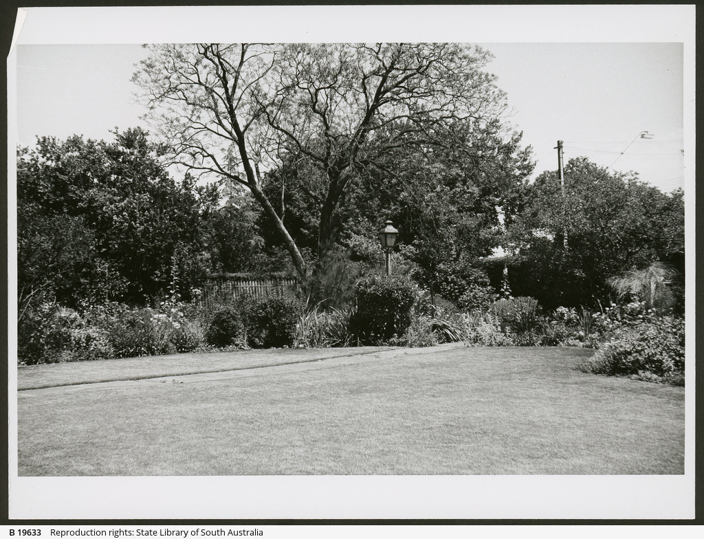 Greenhill Road, Parkside • Photograph • State Library of South Australia