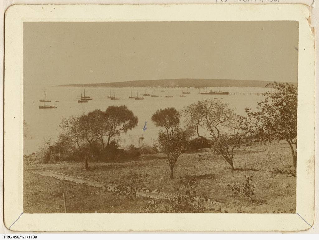 Port Lincoln, looking over Boston Bay • Photograph • State Library of ...
