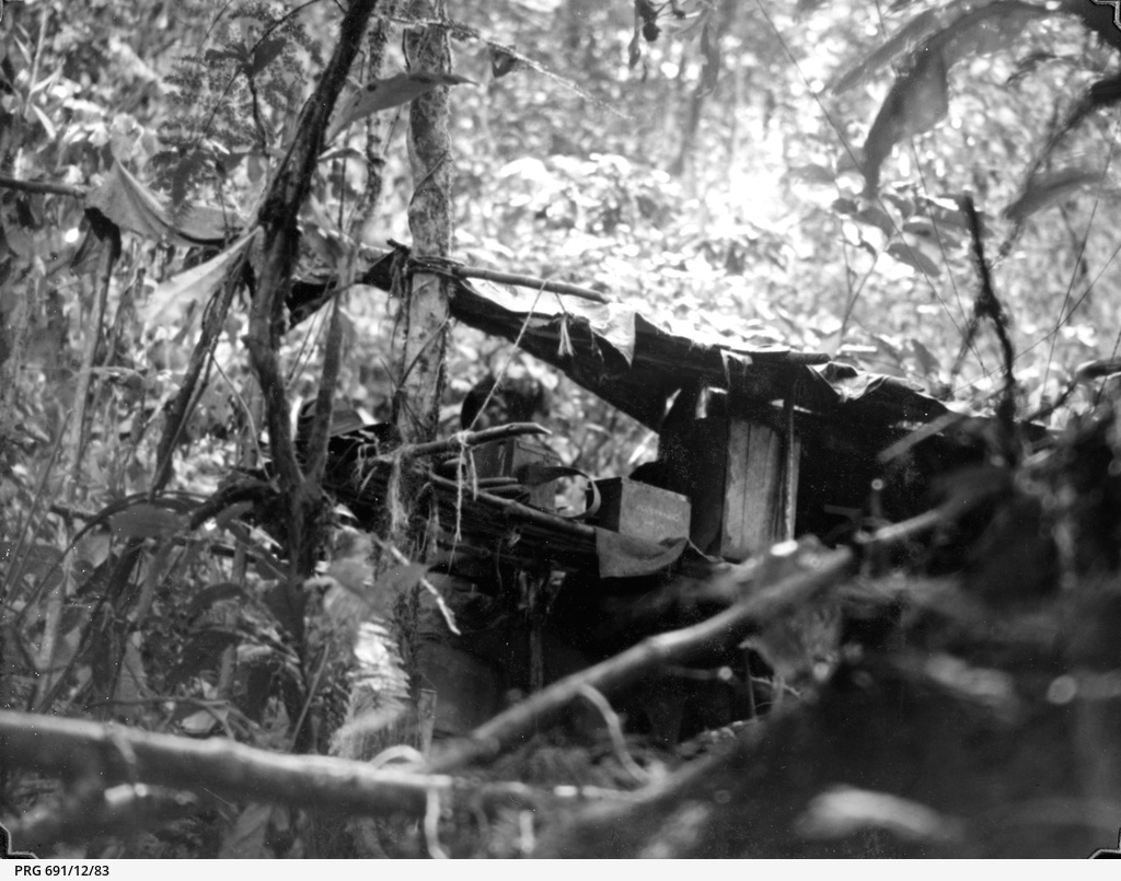 Signals office at Mount Tambu • Photograph • State Library of South ...