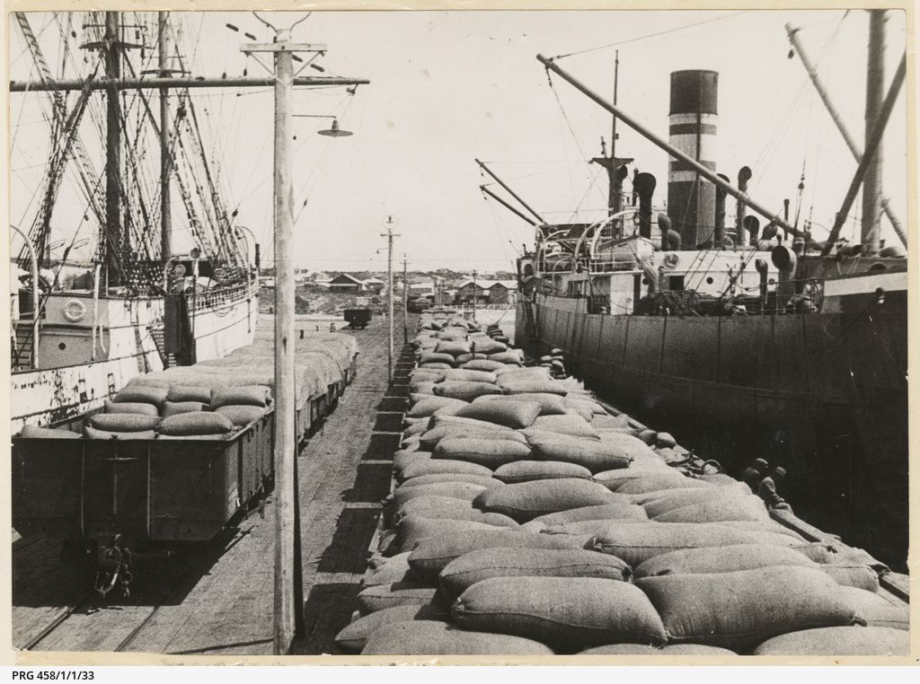 Loading wheat, Port Lincoln • Photograph • State Library of South Australia