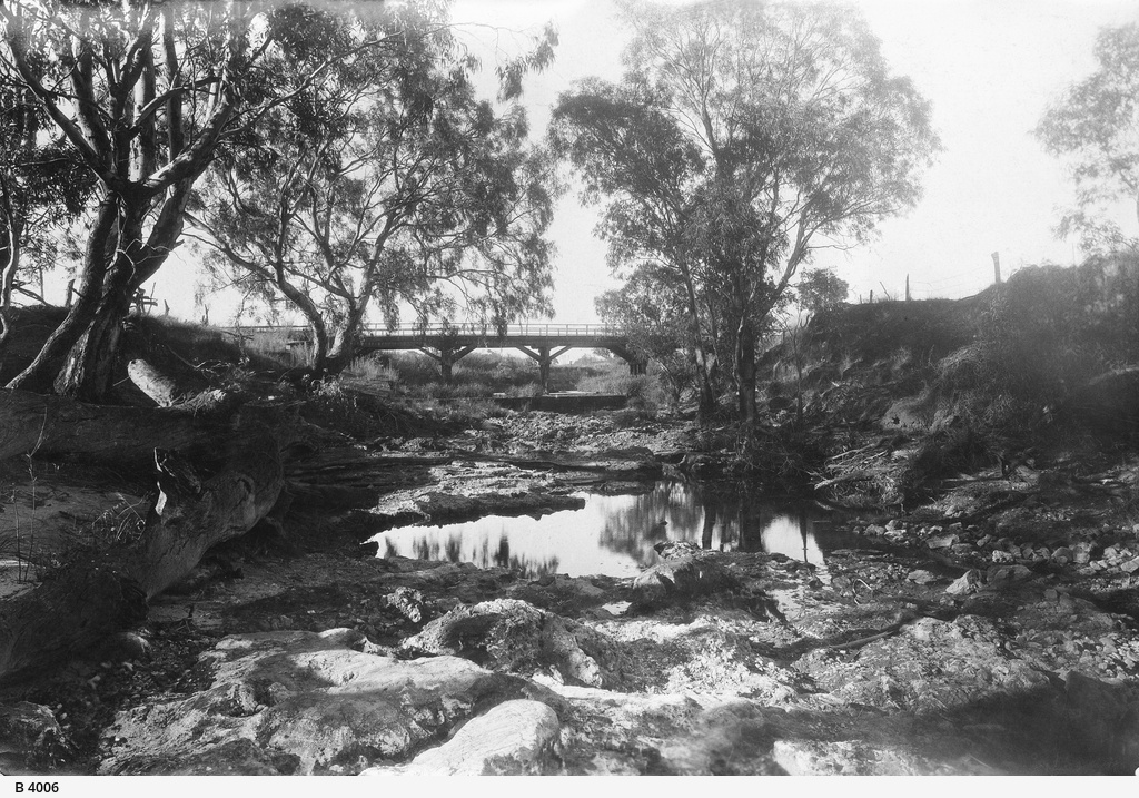 Para river, Tanunda • Photograph • State Library of South Australia