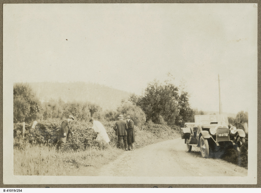 Port Cygnet • Photograph • State Library of South Australia