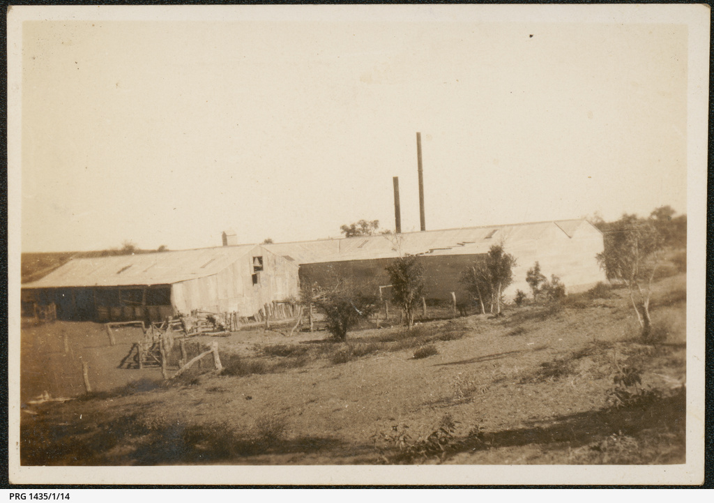 Nappa Merrie woolshed and scour • Photograph • State Library of South ...
