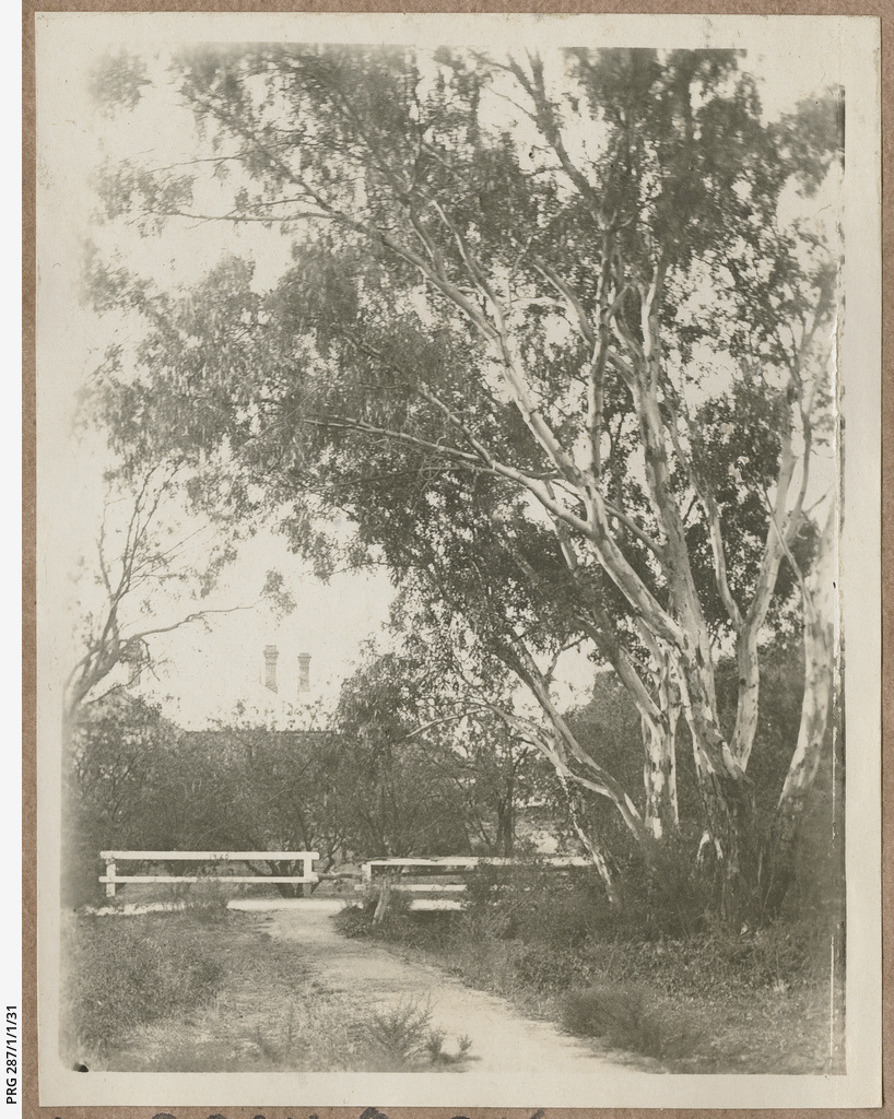 Murray Park, Magill • Photograph • State Library of South Australia