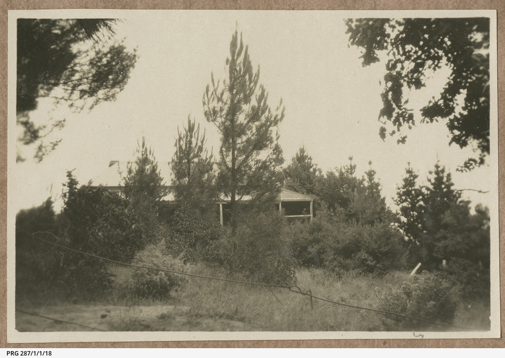 'At Upper Sturt' • Photograph • State Library of South Australia