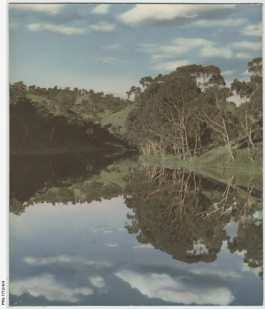Rural scene in the Adelaide Hills • Photograph • State Library of South ...