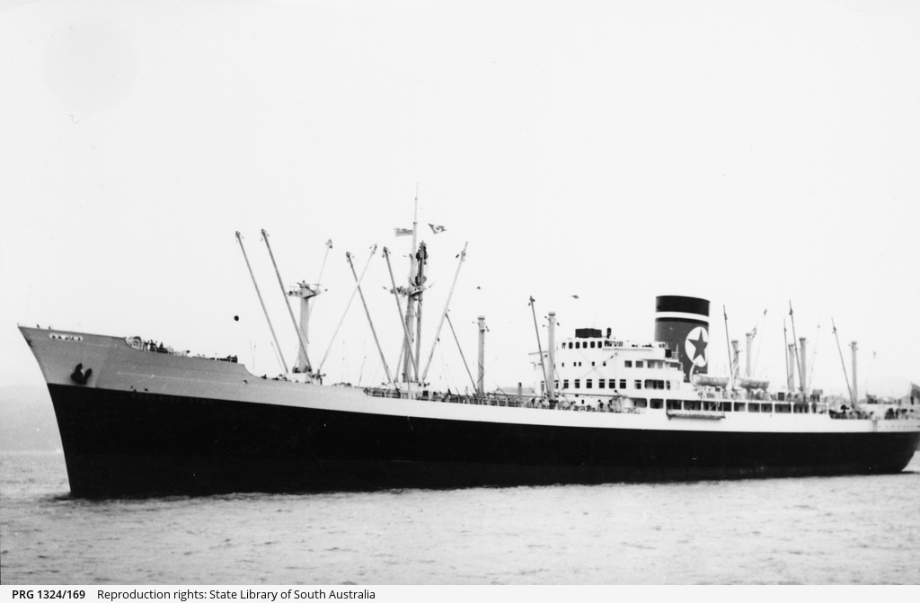 Adelaide Star • Photograph • State Library of South Australia