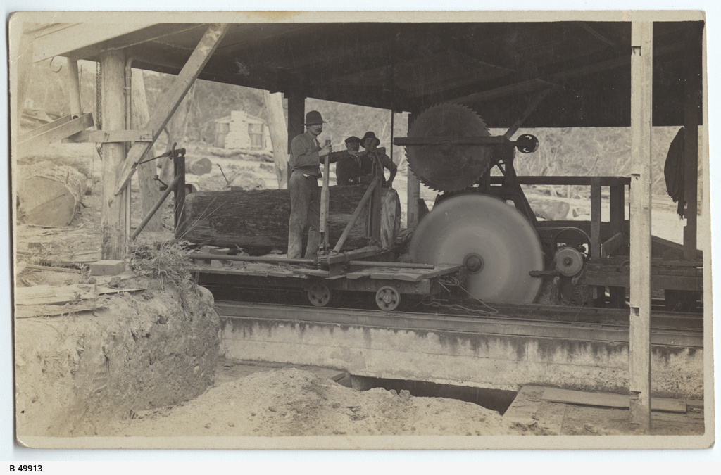 Timber cutting, Mt Compass • Photograph • State Library of South Australia