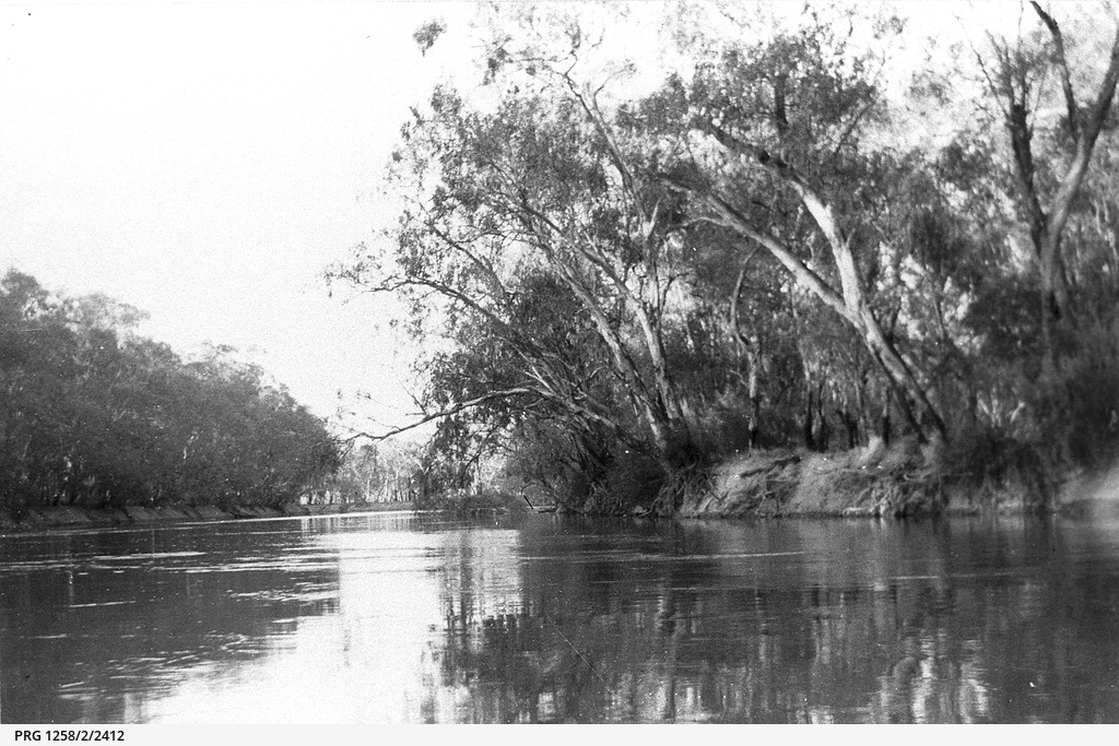 Upper Murray River scene • Photograph • State Library of South Australia