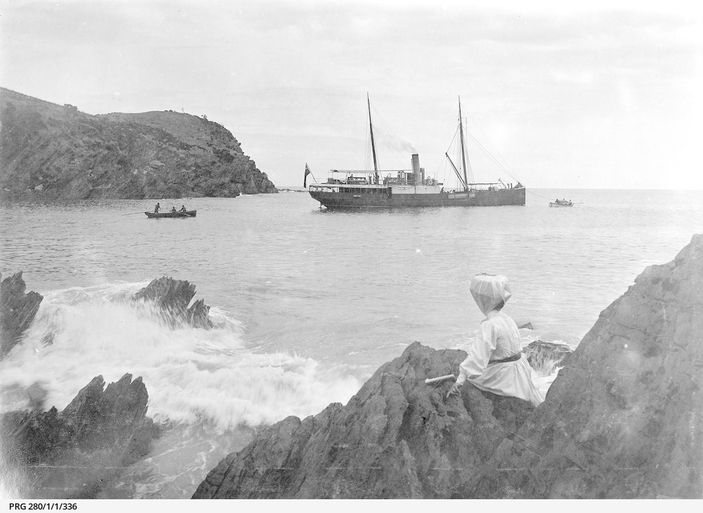 SS Governor Musgrave • Photograph • State Library of South Australia