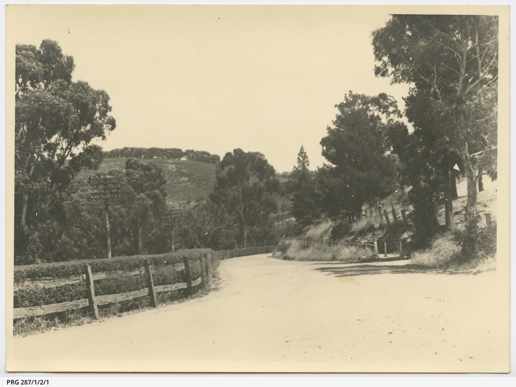 Road at Clarendon • Photograph • State Library of South Australia