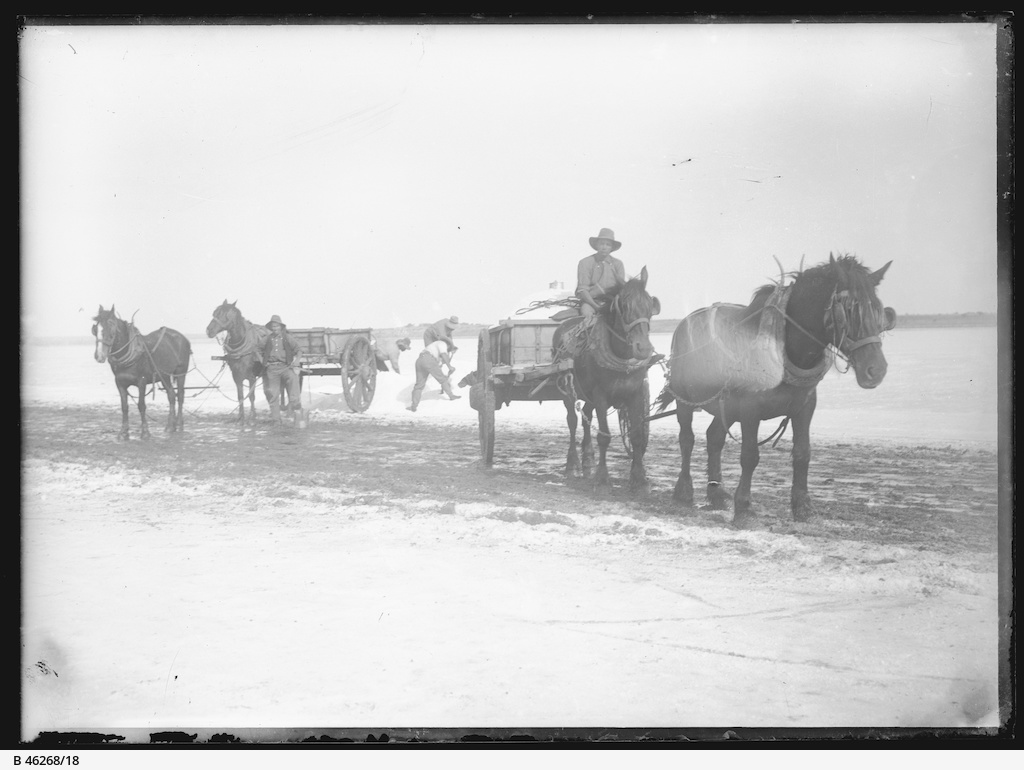 Lake Fowler Salt Workers • Photograph • State Library of South Australia